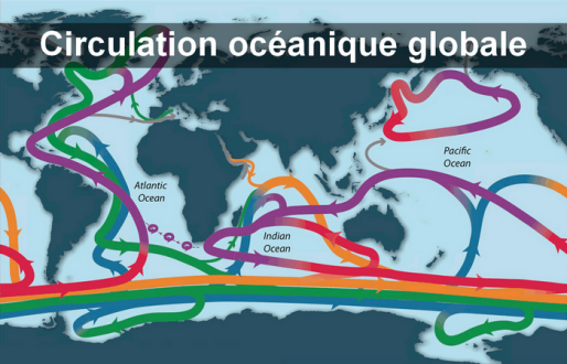 Circulation océanique globale [Mini-fresques et Conférences Actives ...